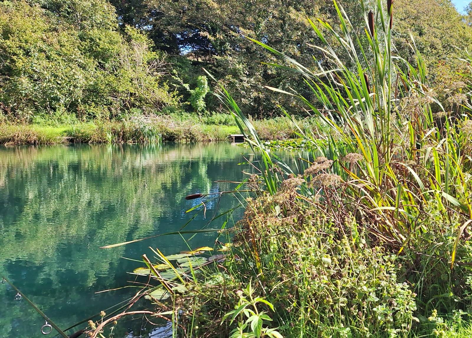 Big Fish Diary - Home Page